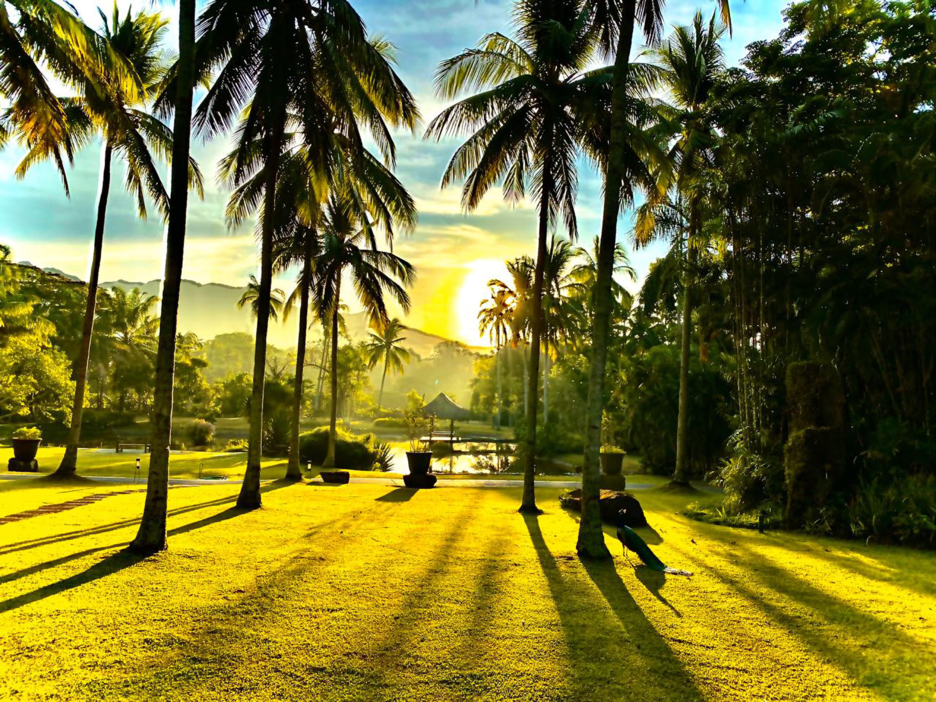 Healing Hotels of the World – Find Your Healing Journey Now