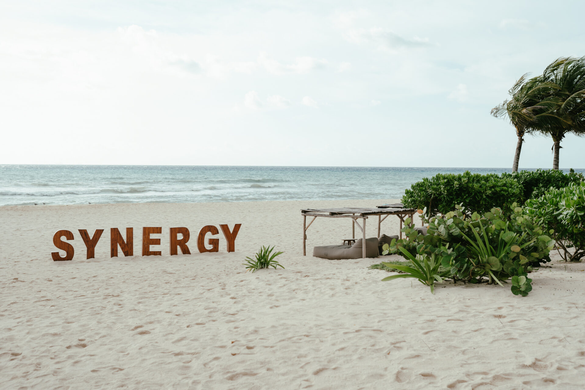 Synergy - The Retreat Show – Healing Hotels of the World